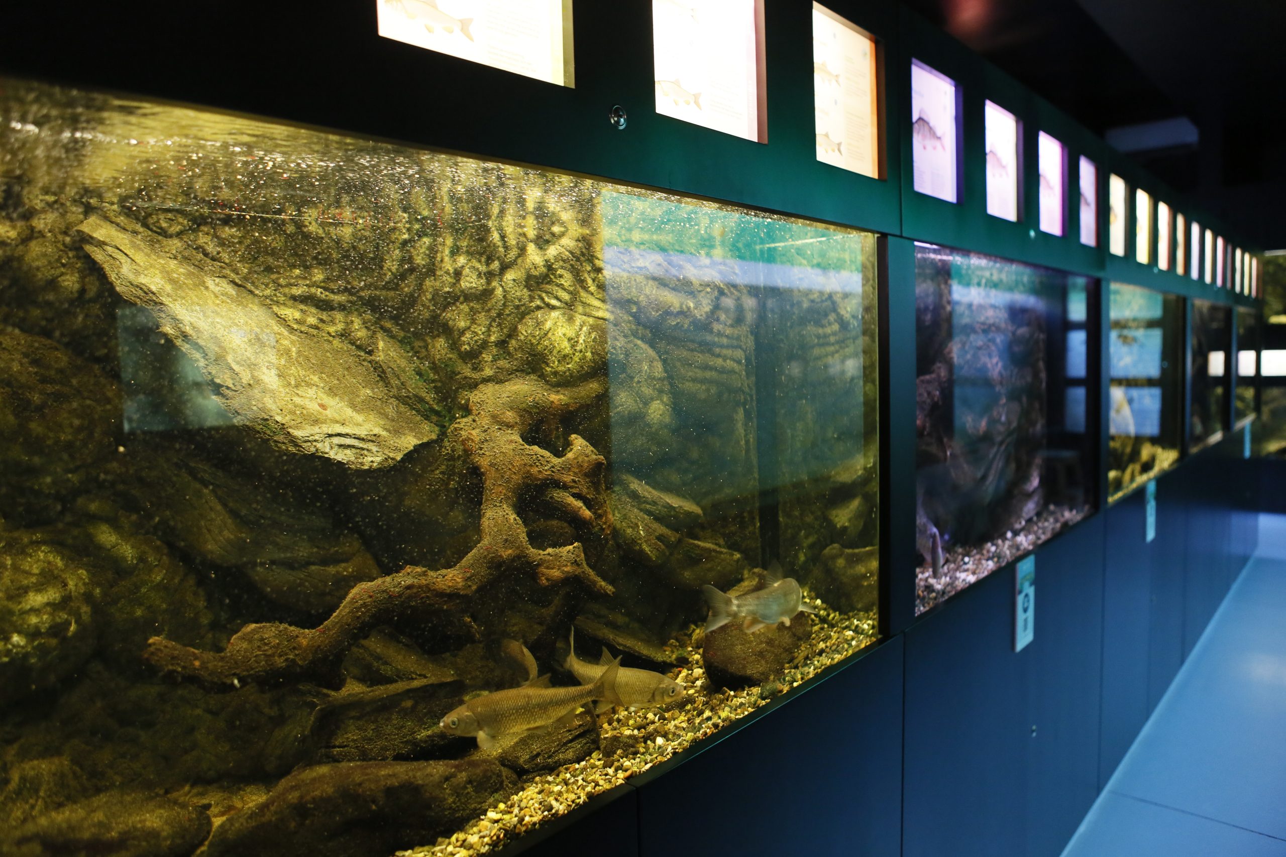 Riveo - Plus Beaux Villages de Wallonie