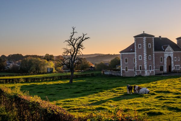 Olne, entre bocages et gourmandises - Plus Beaux Villages de Wallonie
