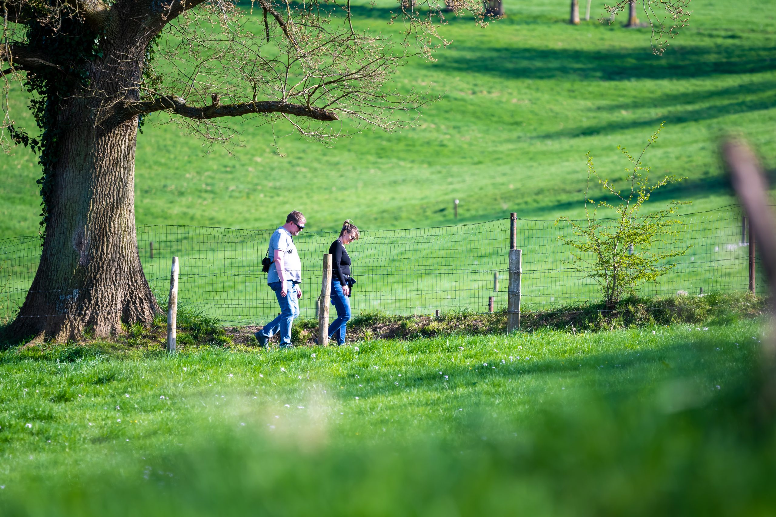 Crupet, village bordé de ruisseaux - Plus Beaux Villages de Wallonie